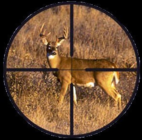 Best Hunting Scope - 5 Detail Reviews - MetalLens